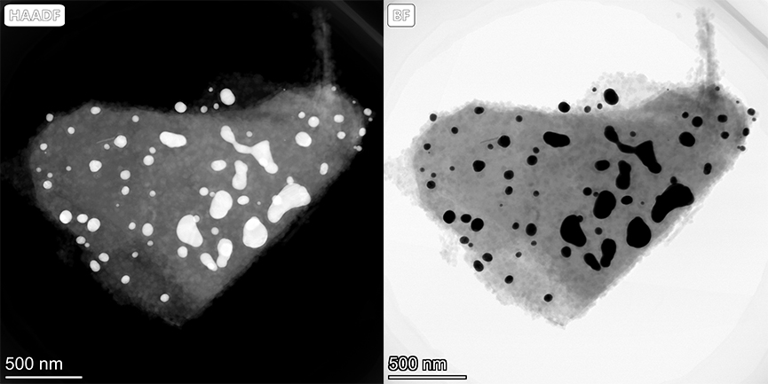中科科辅（北京）科技有限公司